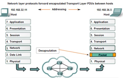 Pengertian dan Cara Kerja Network Layer Beserta Contoh - Modul Makalah