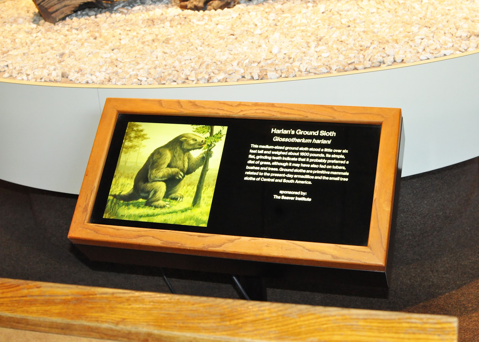 Quaintly Garcia: Page Museum at the La Brea Tar Pits