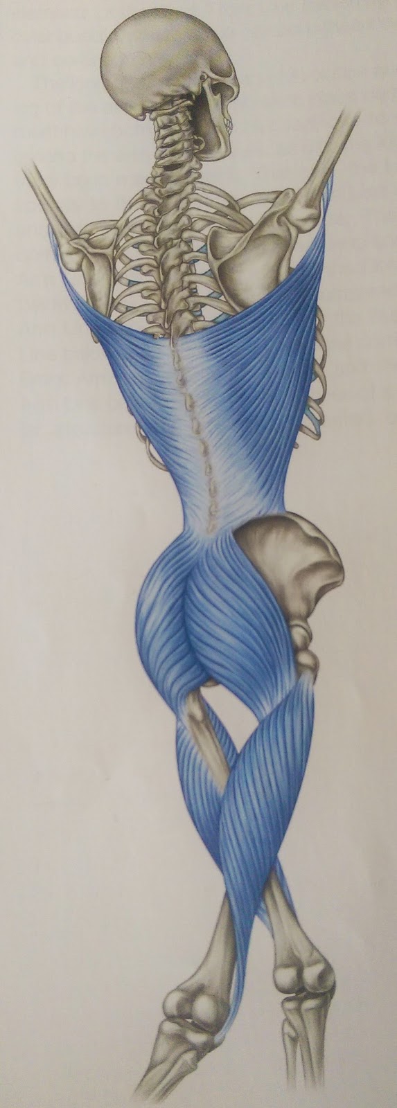 Balance: 9. The Functional Lines