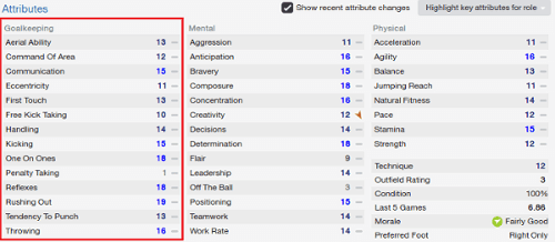 Football Manager Goalkeeper Attributes • Passion4FM