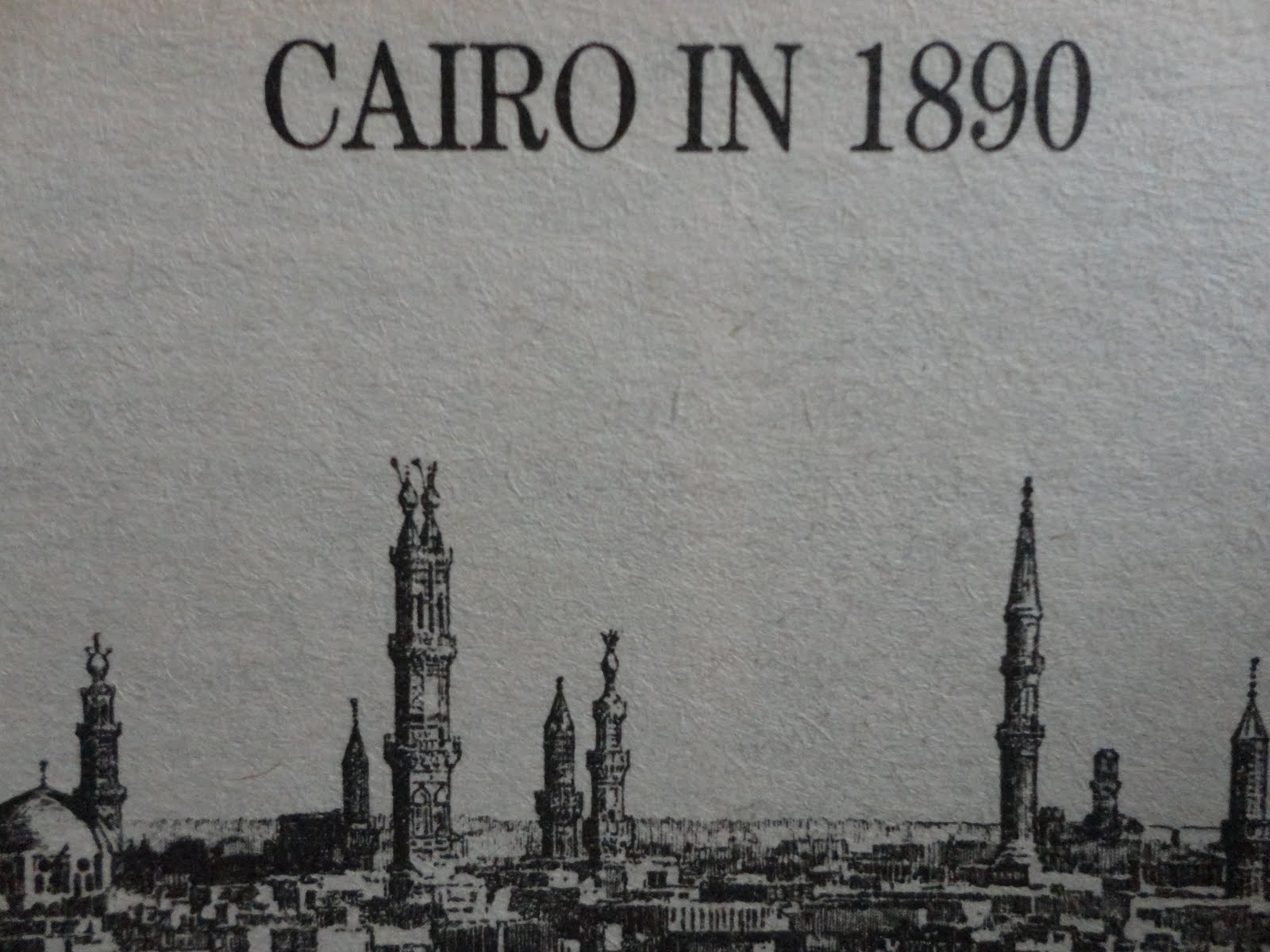 SUSTAINABLE LIVING INSTITUTE (SAVE): CAIRO, 1890