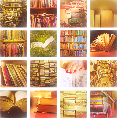 Könyvtündér: Elizabeth Haynes: A lélek legsötétje