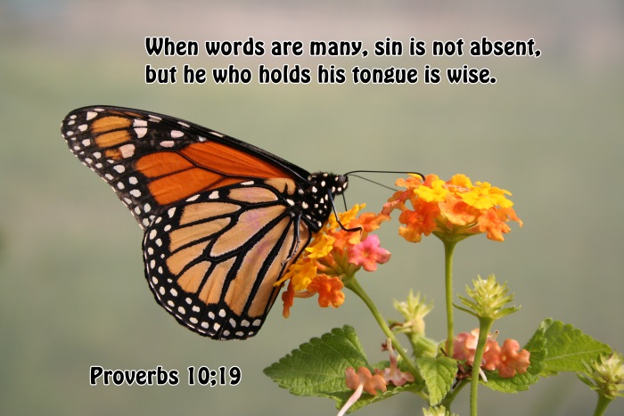 Grace of Jesus Ministry: BUT HE WHO HOLDS HIS TONGUE IS WISE. [PROVERBS ...