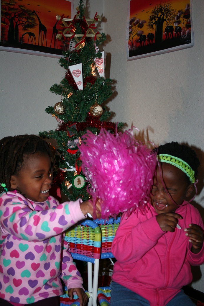 USA | SVERIGE | SOUTH AFRICA | ZIMBABWE: Christmas Tree