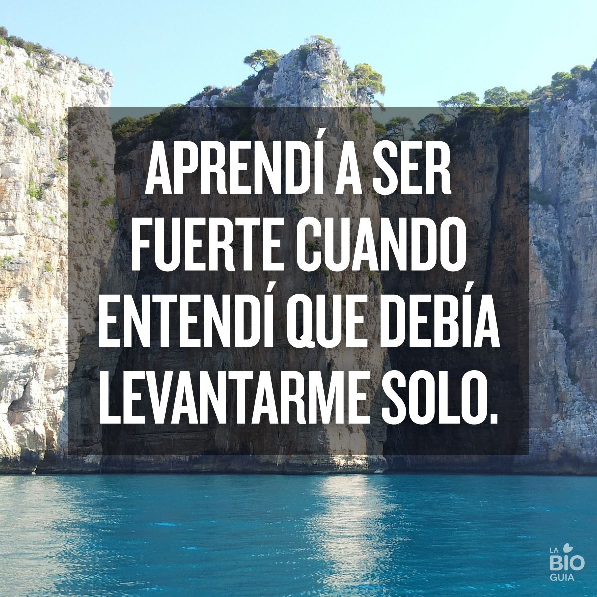 Las mejores frases motivadoras cortas- 2020 🏆 - Desarrollo personal ...