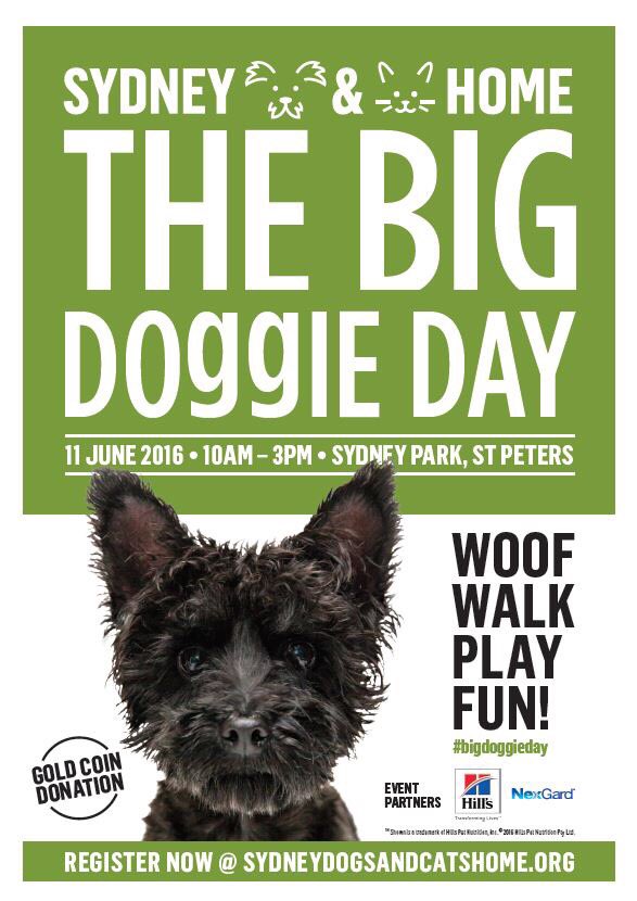 The Big Doggie Day, Sydney - June 11 | Australian Dog Lover