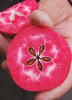 Southern Green Living: Red Fleshed Apples