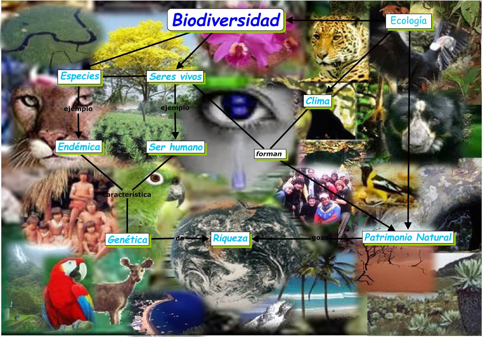 LUNA ECOLOGÍA Y MEDIOAMBIENTE: Biodiversidad
