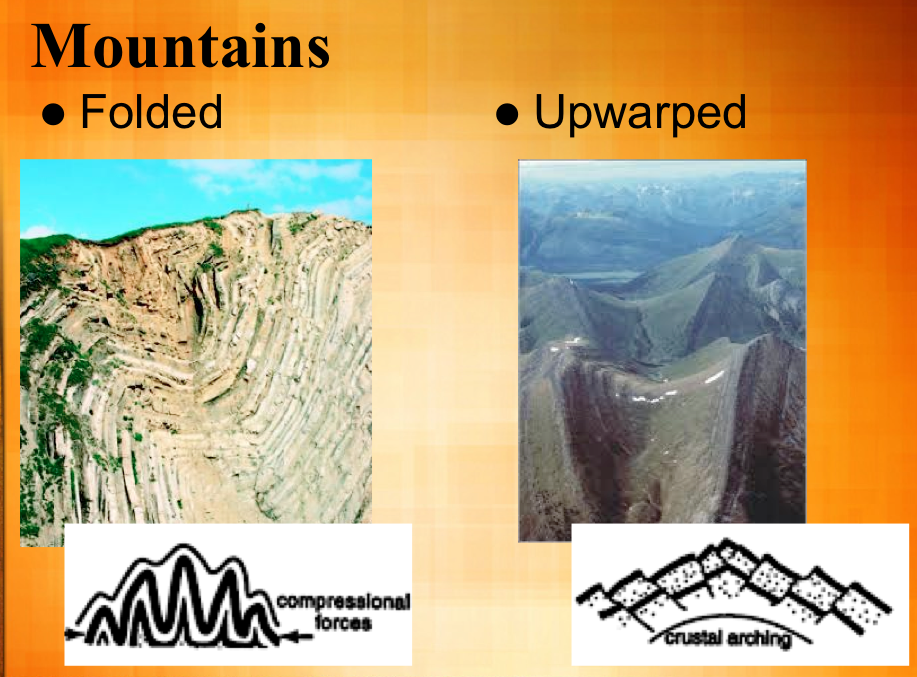 IHSL Khurshida Khadjimukhamedova