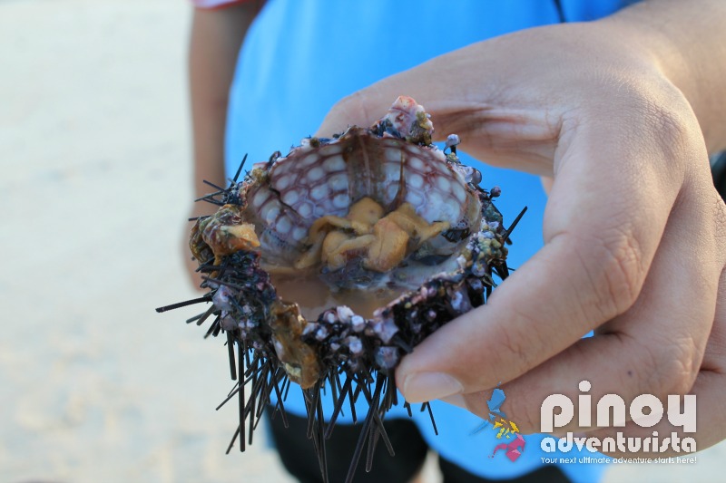 9 Exotic and Unusual Filipino Dishes to try in the Philippines | Blogs ...