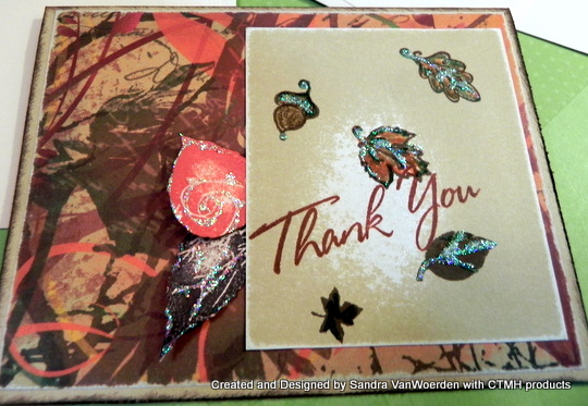 "OH MY SCRAPS !!" with S`andra V. : Cards