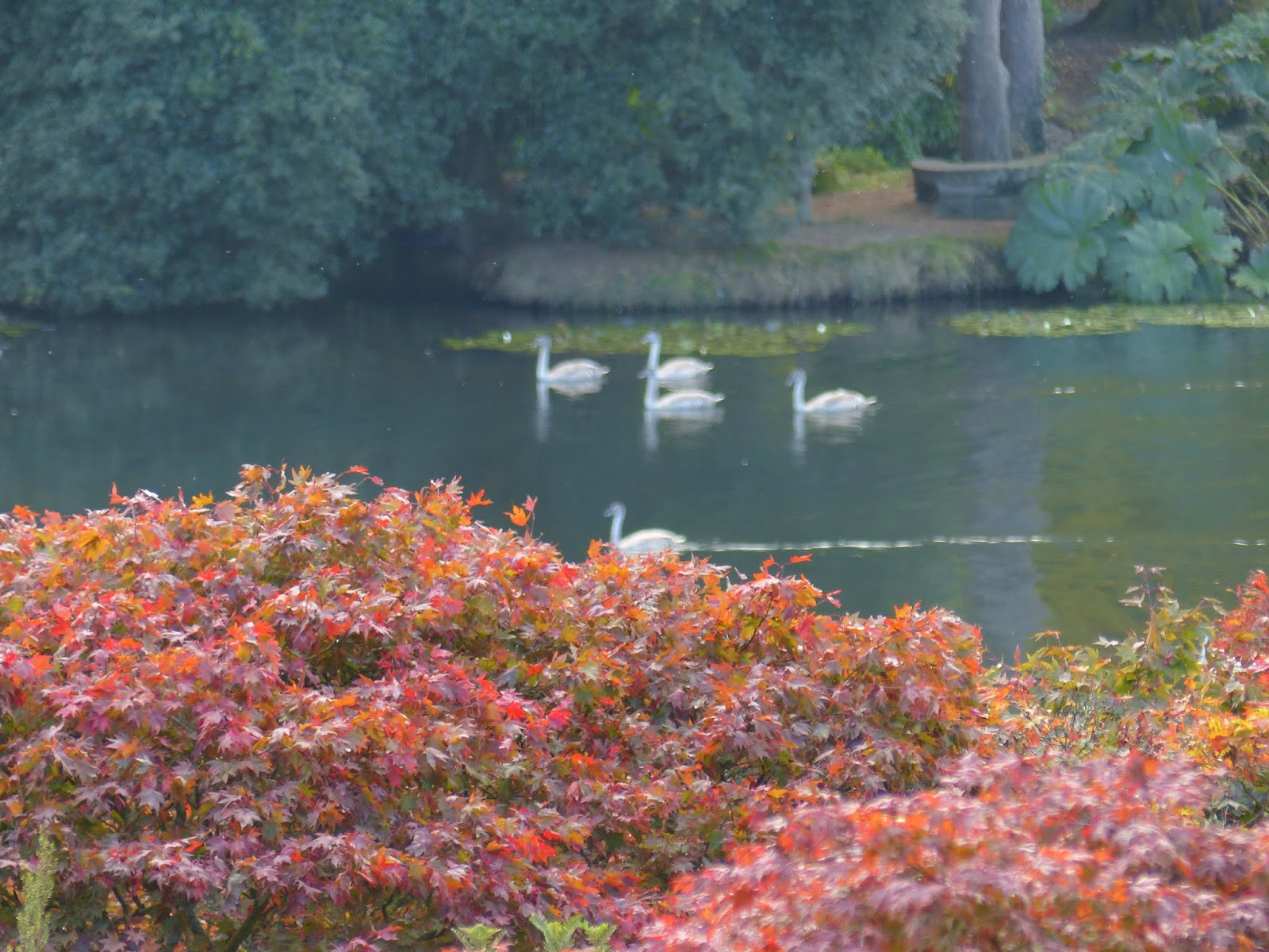 Birding For Pleasure: Walk with Neil Porteous at Mount Stewart Gardens ...