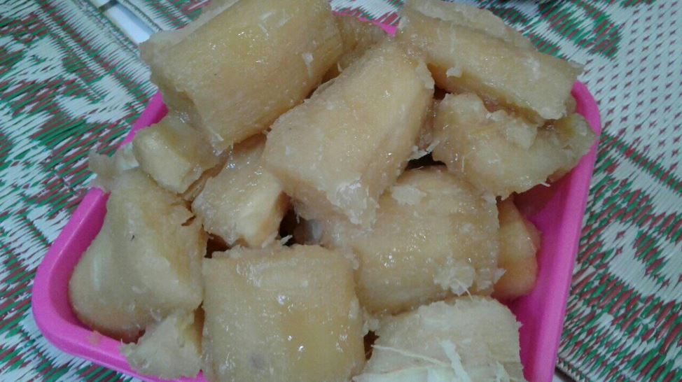 Gula Semut dan Sirup Jambu, Oleh-Oleh Khas Desa Wisata Sepakung ...