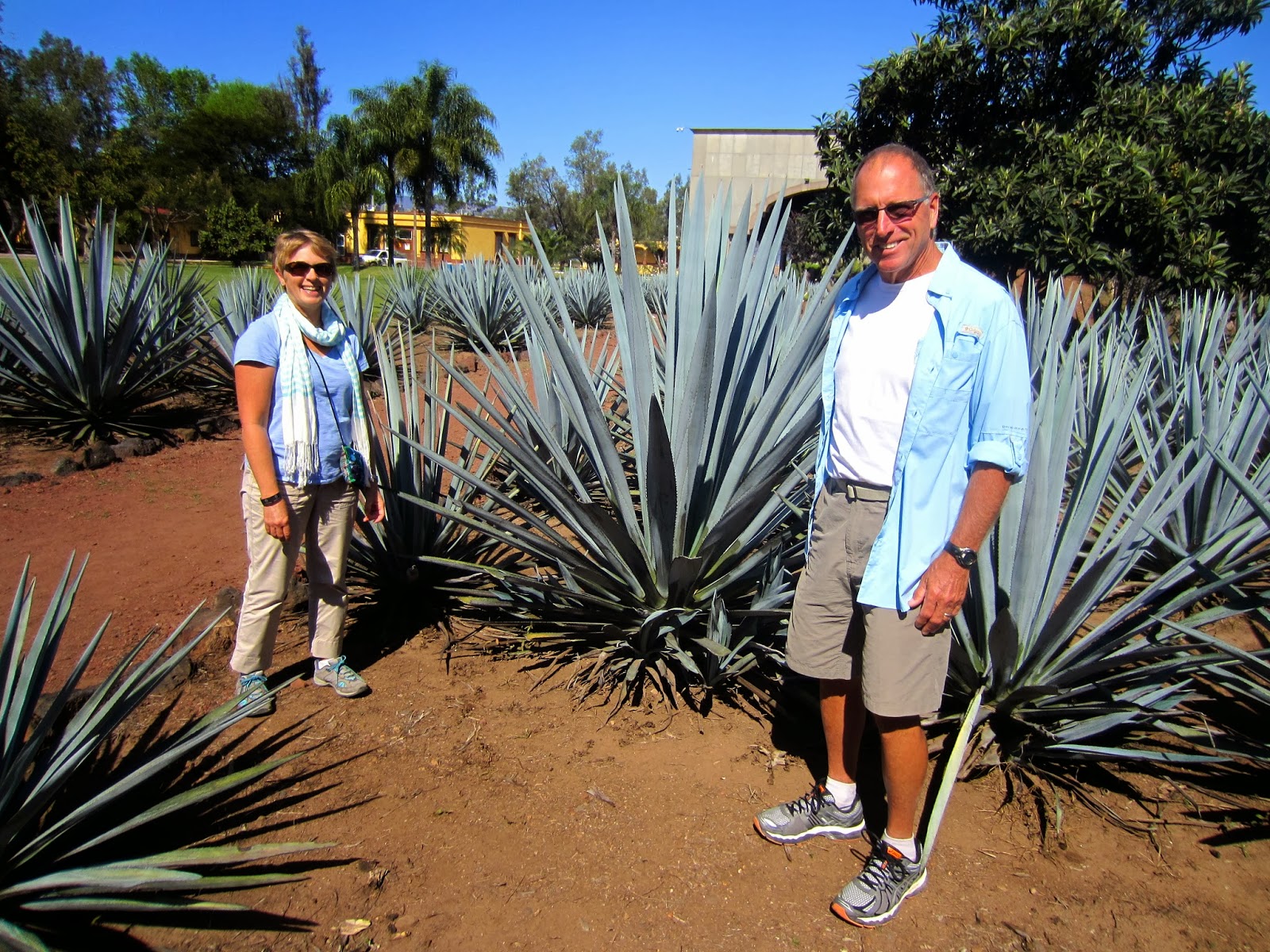 Agave Azul: Tequila!