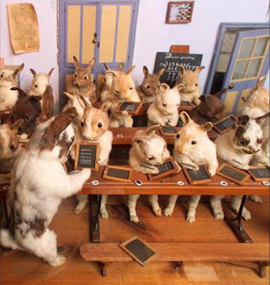 green and white garden: Tales of Beatrix Potter??