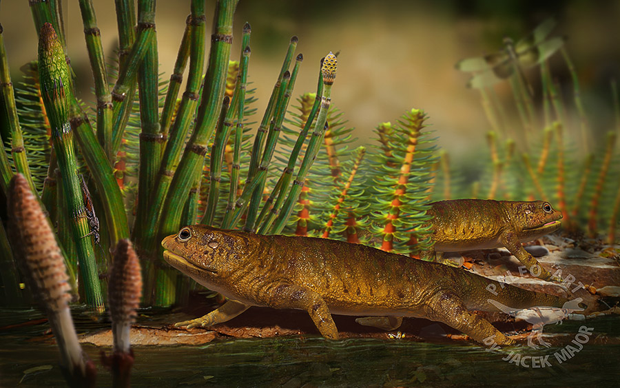 The Pondering Gulch: Et Tunc Nulla Erat IV