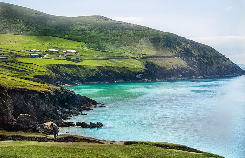 Wild Greens and Sardines : Rugged Ireland