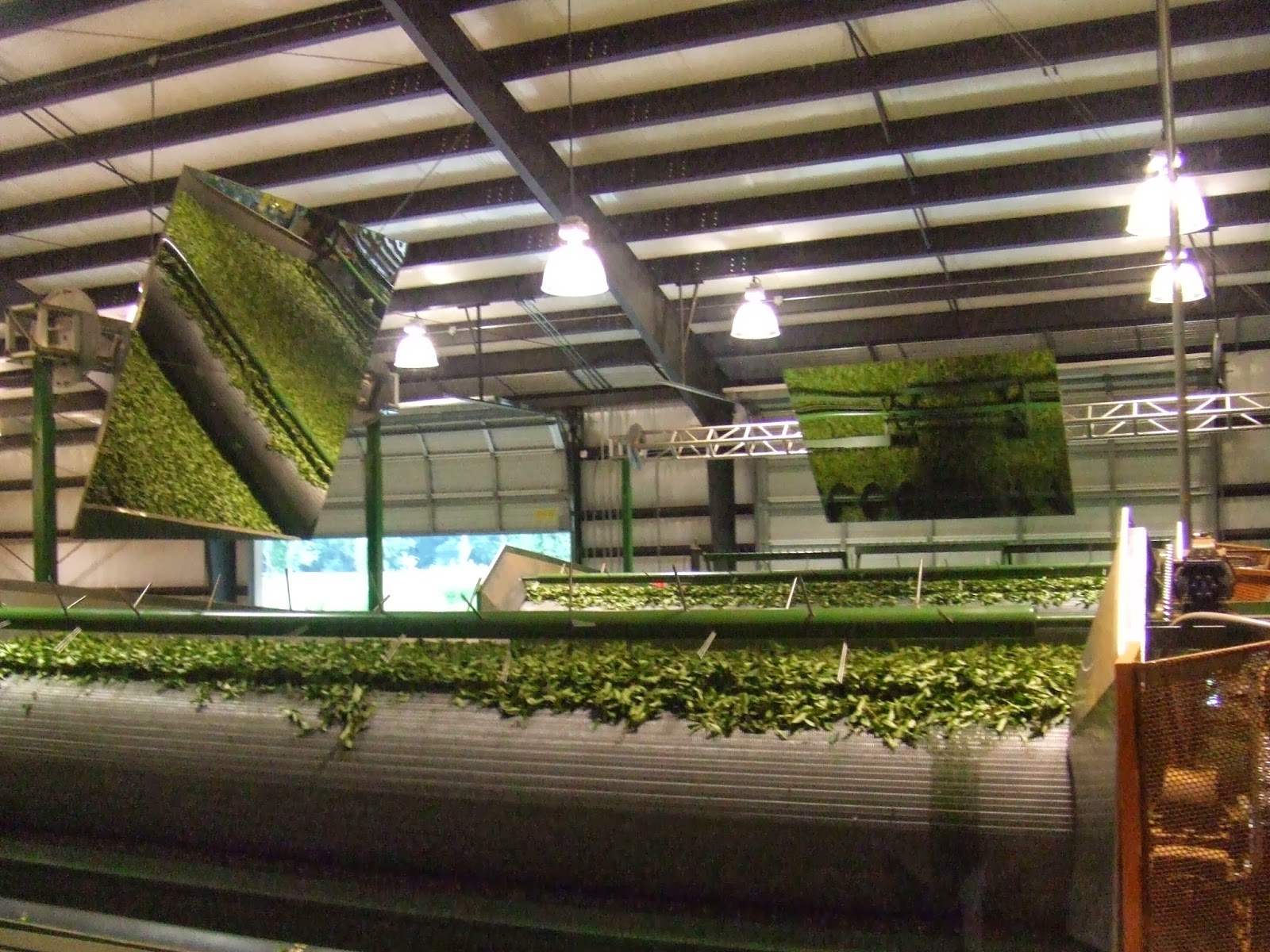 Salt and Pepper (With a Lot of Spice!): 2013