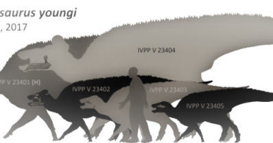 EL JOVE PALEONTÒLEG: Laiyangosaurus youngi, nou "bec d'ànec" del ...