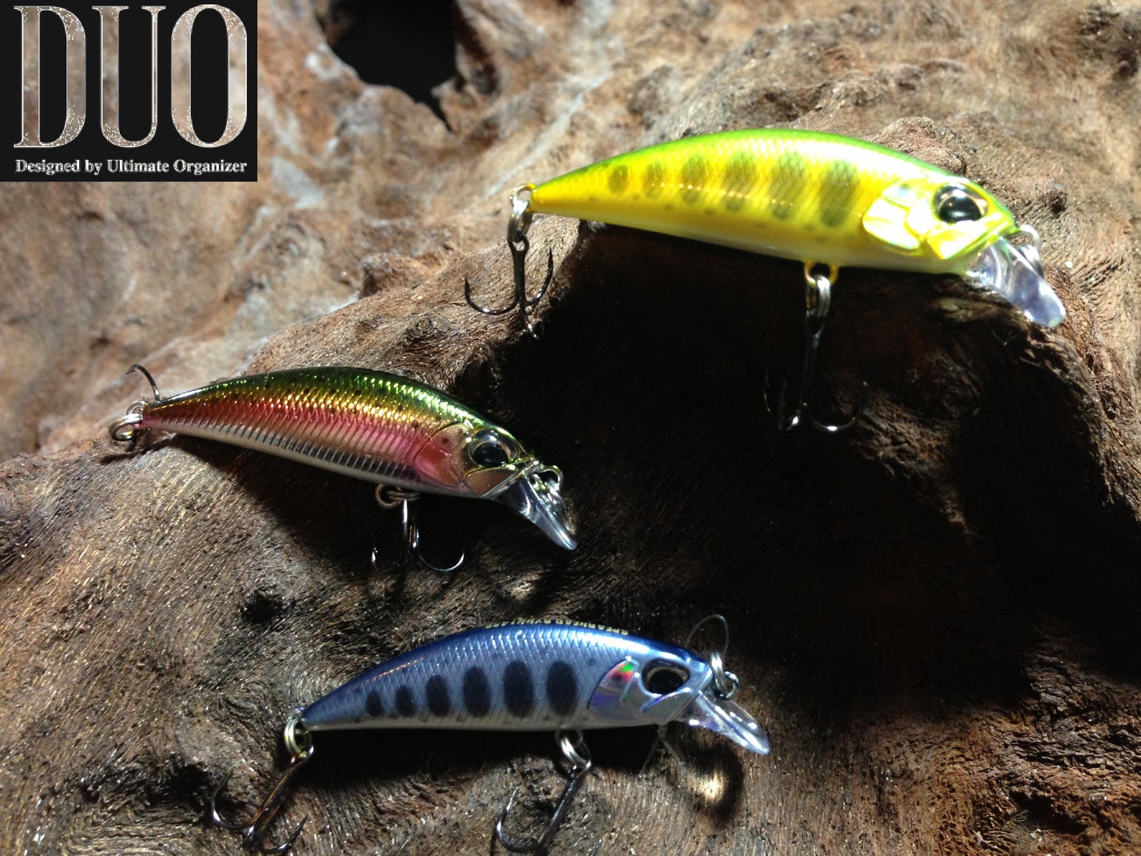 The Fish Cure: A Taste Of DUO Realis