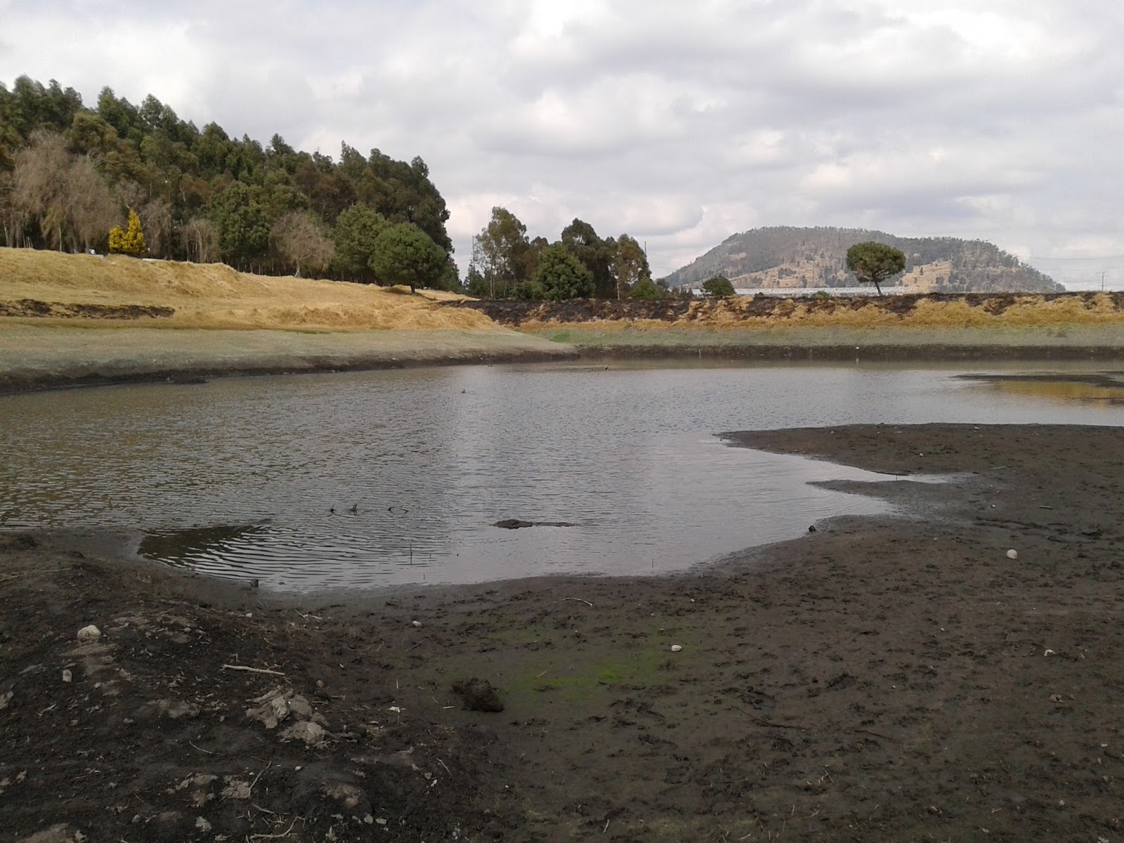 El Blog de El Divino: Parque Alameda 2000