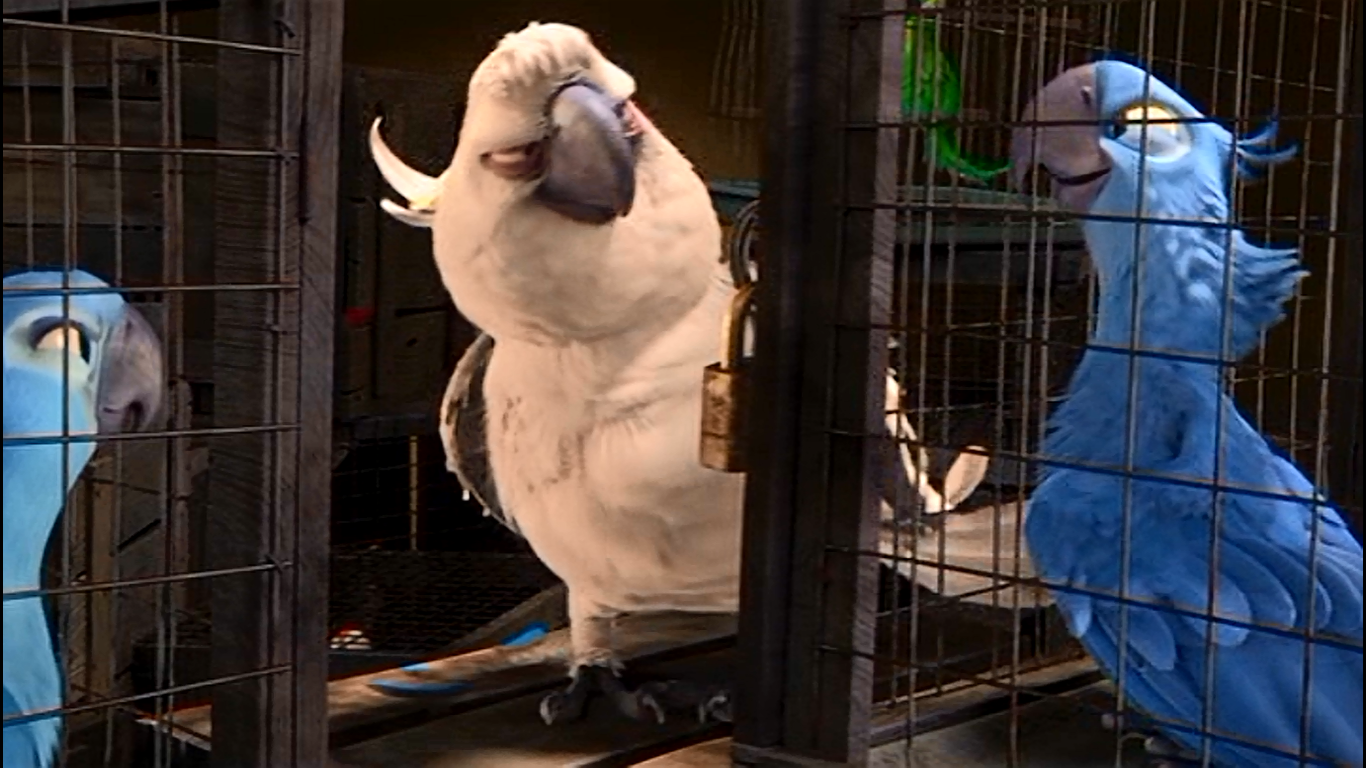 ¿Ciencia o Ficción?