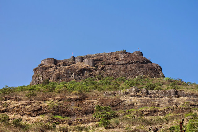 Field Clicks: May 2015