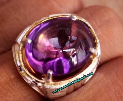 Meembedakan Kecubung Bungur Tanjung Bintang, Kalimantan dan Brasil