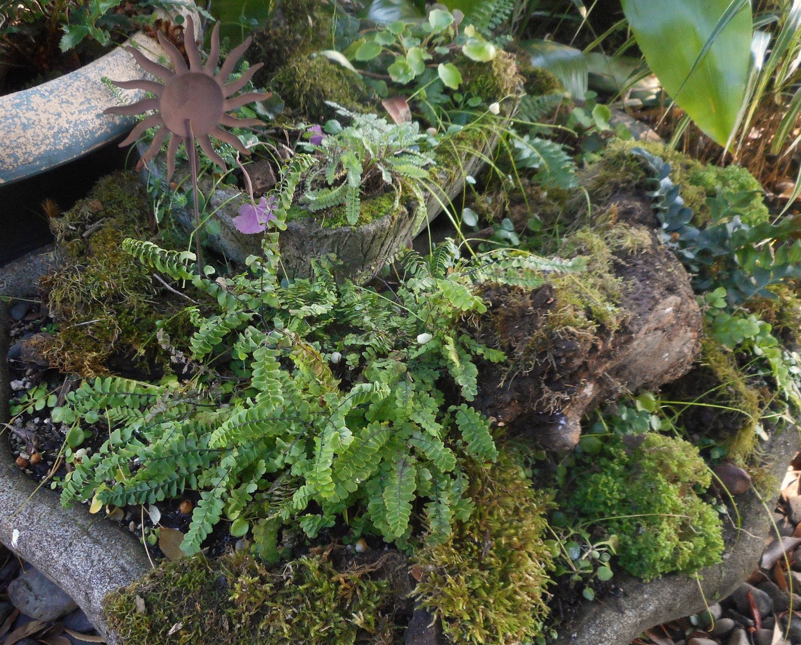 Gardening With Grace: October's Garden and a "Fern Table"