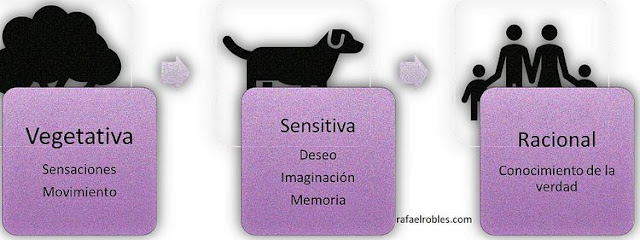 Las potencias del alma - Aristóteles.