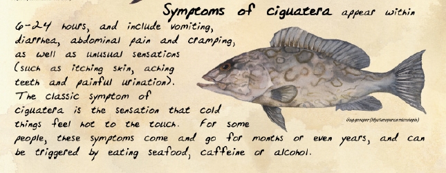The Fisheries Blog: The Latest on Ciguatera Fish Poisoning