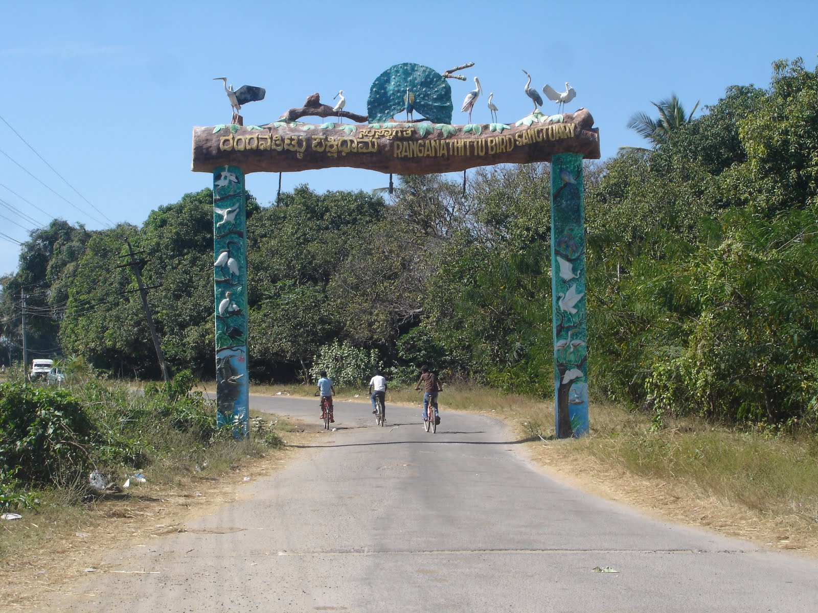 My Travel Blog: Trip to Balmuri Falls