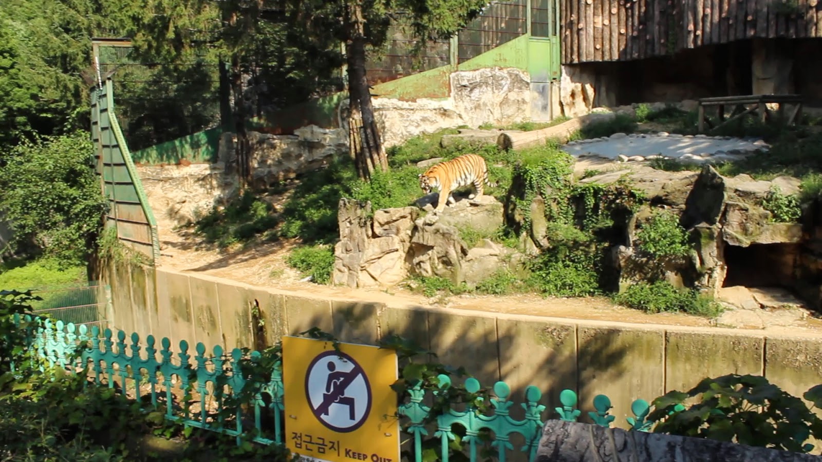 Zoos in Japan: Seoul Zoo (Gwacheon, Republic of Korea)