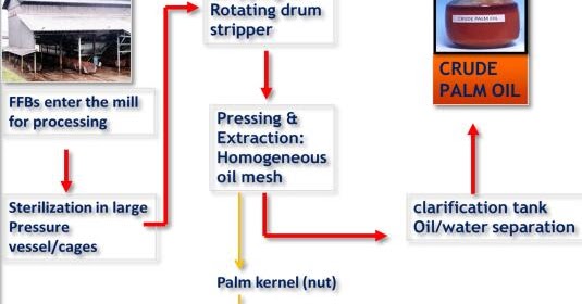 palm oil machine: palm oil refining process, palm oil production
