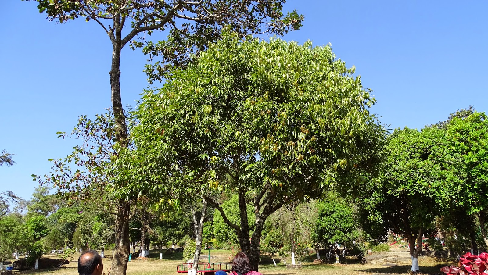 A VISIT TO SHILLONG, CHERRAPUNJI