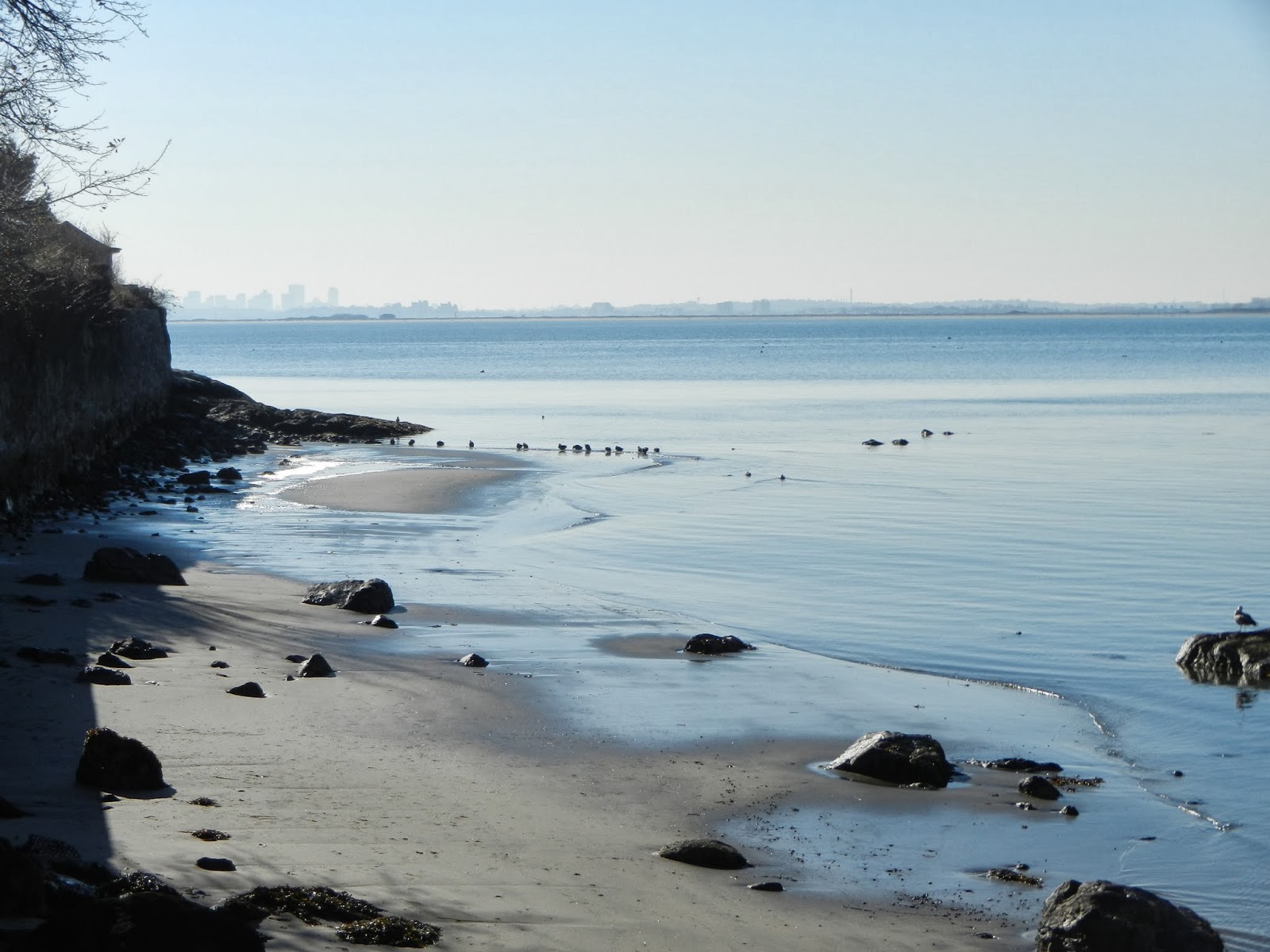 vicarious travelling: Boston - coast to the north