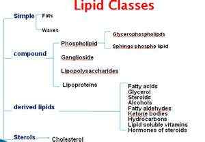 Definition Lipid & it's Classification/Bio-chemistry_Lipid ~ Home ...