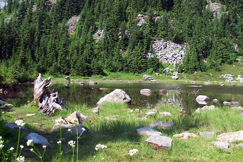 My Hiking Blog: Red Pass via Commonwealth Basin