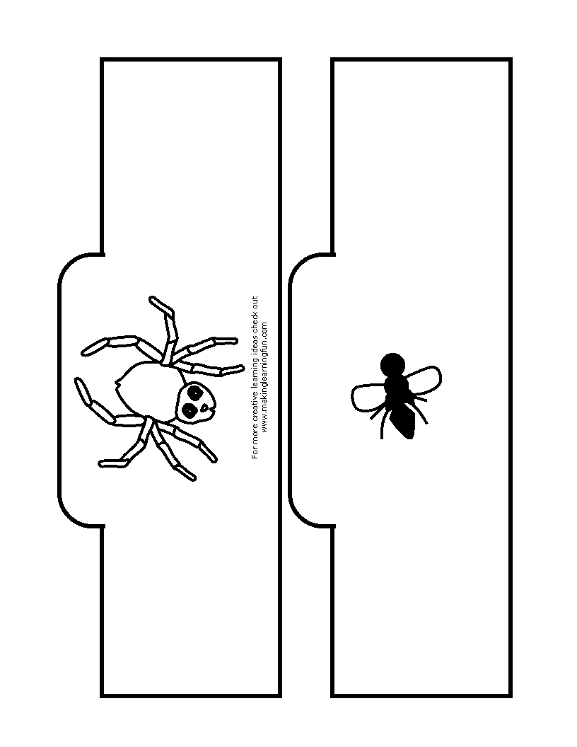 Arts Infused Unit Plan: Tuesday- Book: "The Very Busy Spider"