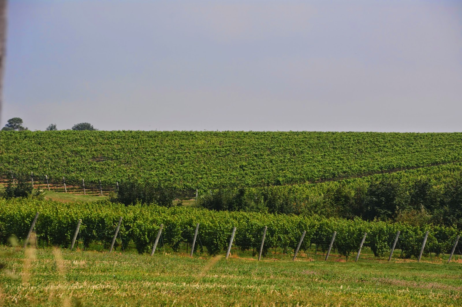 My World in Pennsylvania and Beyond: Nova Scotia Wineries - Domaine De ...