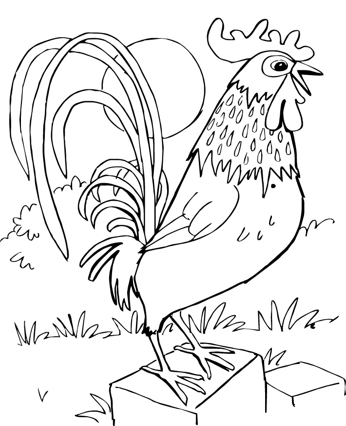 Dq Coloring Pages Coloring Pages