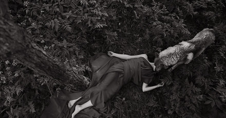 White Wolf : The Fascinating Bond Between Humans And Wolves By ...