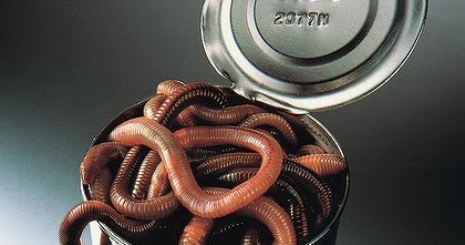 Fighting in the Shade™: Syrian Barrel of Worms