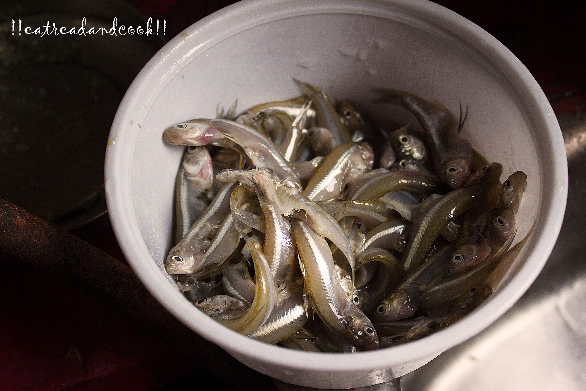 Mourala Maach Bhaja / Mola Fish Fry