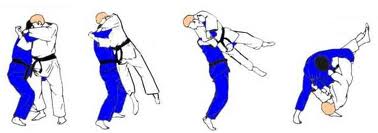 BUDO TOLEDO: TE WAZA: TÉCNICAS DE BRAZO O MANO