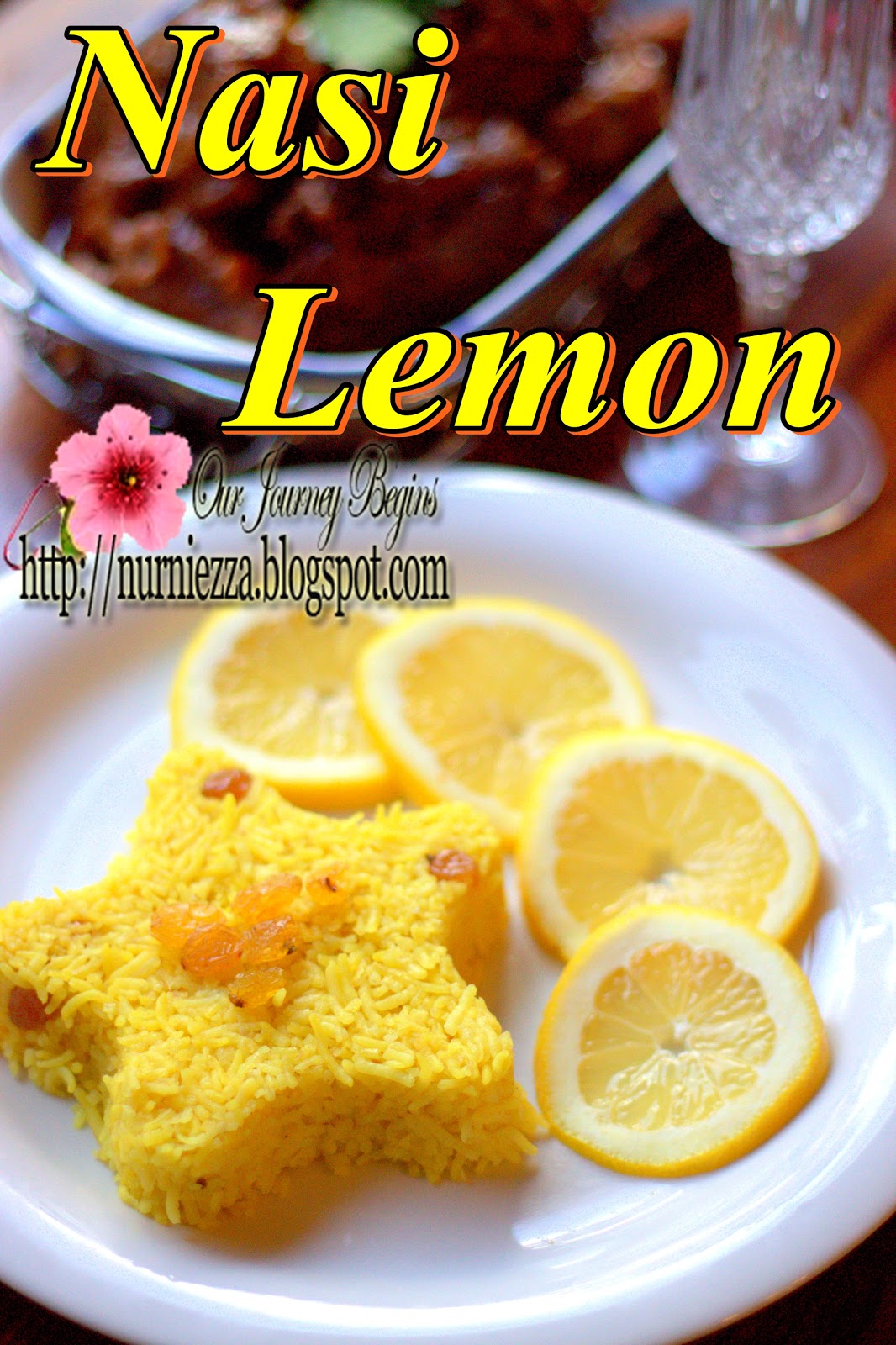 Our Journey Begins: NASI LEMON