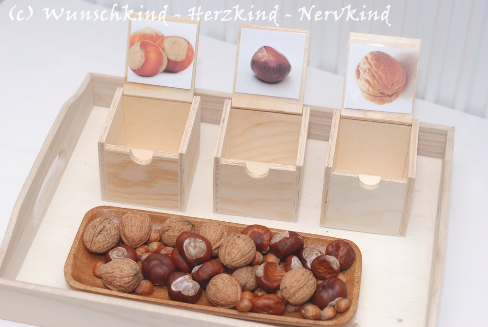 Wunschkind - Herzkind - Nervkind: Das Sortieren | Kinder, Wunschkinder ...
