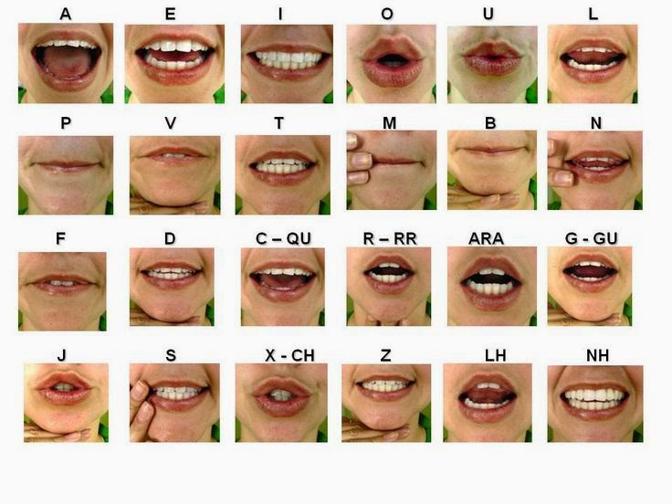 Educación Diferencial y Educación Parvularia - Verónica Díaz: PRAXIAS