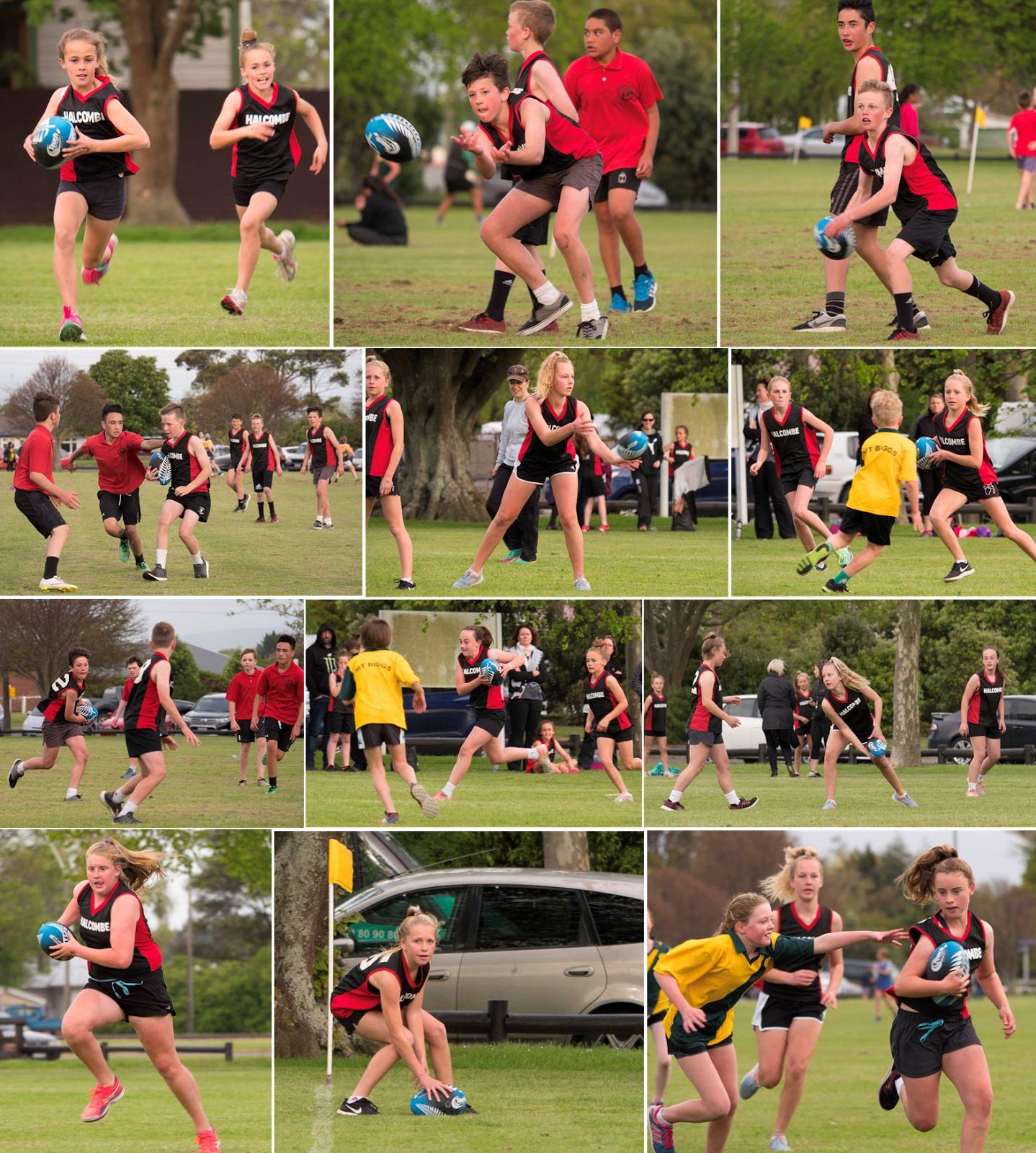 Room 8 - Halcombe School: 2017