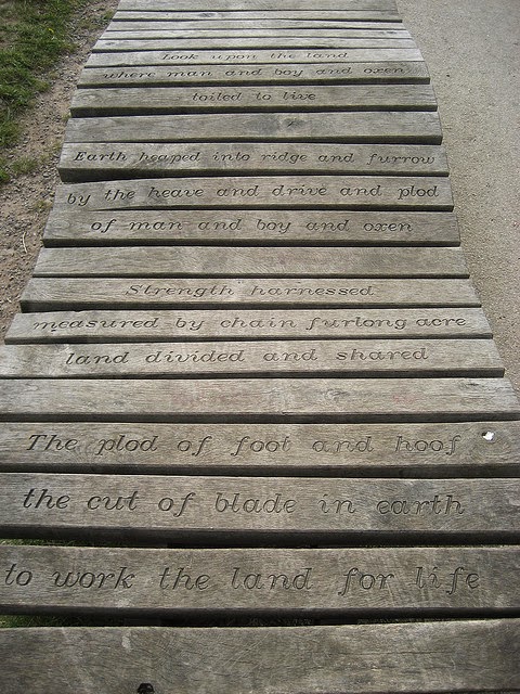 benchsite: Poetry Please - benches for National Poetry Day